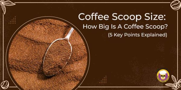 Coffee Scoop Size: How Big Is A Coffee Scoop?(5 Key Points Explained)
