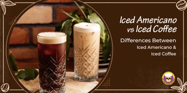 Iced Americano vs Iced Coffee: Learn the Differences Now