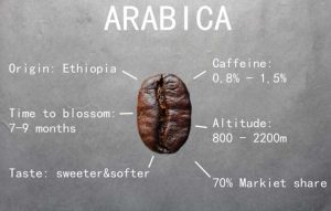12 Difference Between Arabica and Robusta: Exploring the Unique ...