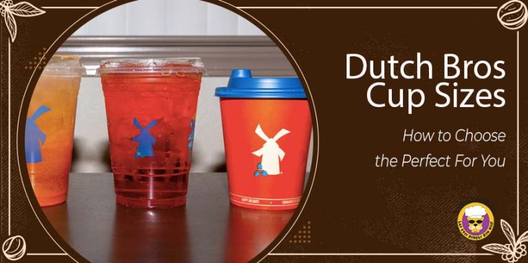 Dutch Bros Cup Sizes: How to Choose the Perfect For You - Mountain Lyon ...