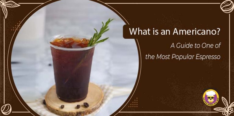 What is an Americano? A Guide to One of the Most Popular Espresso ...